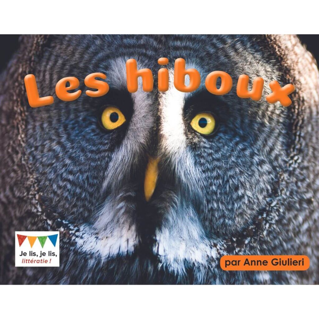 Les hiboux, 1re édition - RK Publishing