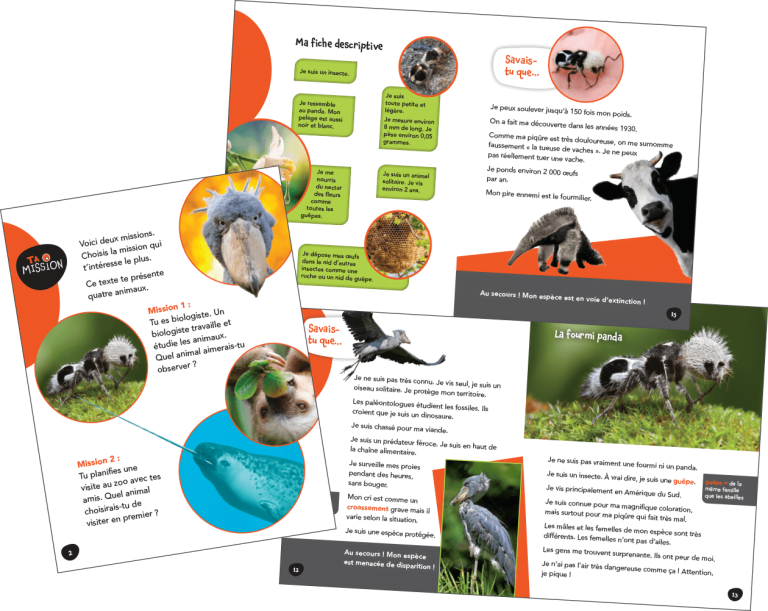 Mission possible - Books for High-Low Immersion Grades 4-8